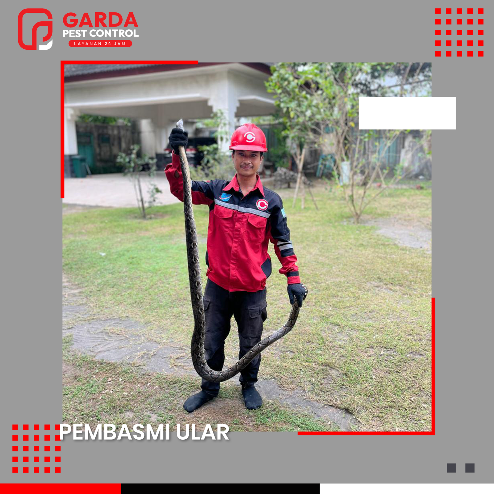 Garda Pest Control | Layanan Cepat Berkualitas 24 Jam